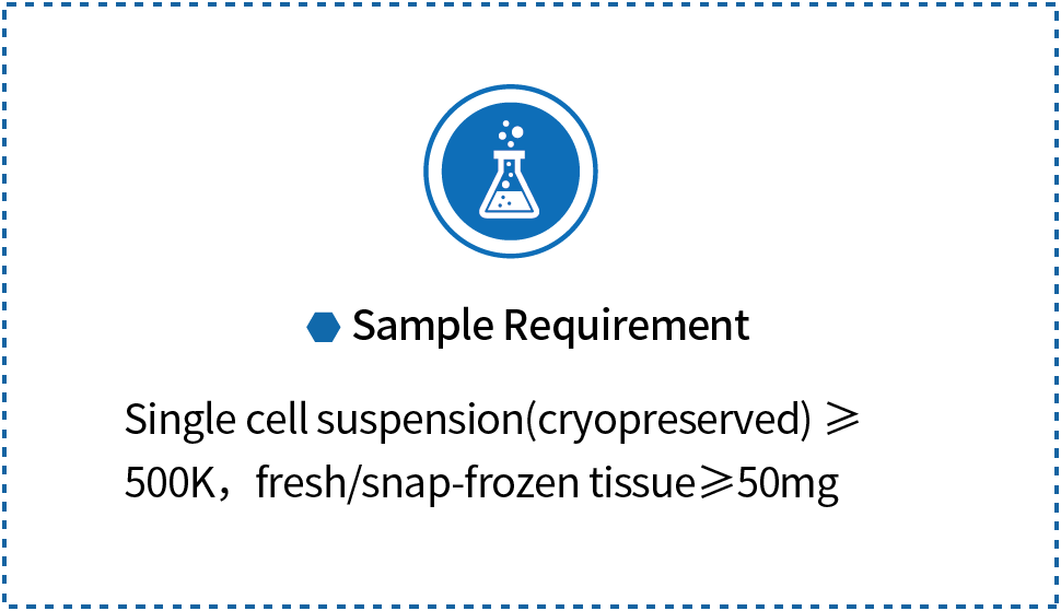 Novogene 10x Single Cell Rna Seqblog 2605